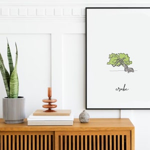 Aruba Art Print Divi Divi Tree Art Print Travel Caribbean Gift ...