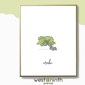 Aruba Art Print Divi Divi Tree Art Print Travel Caribbean Gift ...