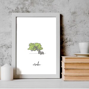 Aruba Art Print Divi Divi Tree Art Print Travel Caribbean Gift ...
