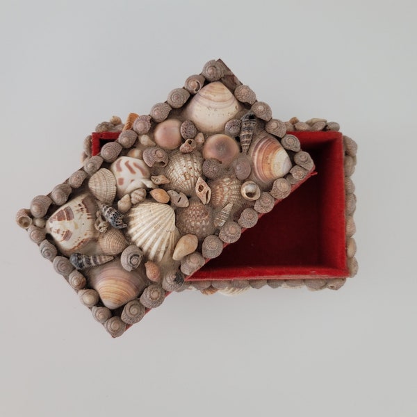 Shell Box - Etsy