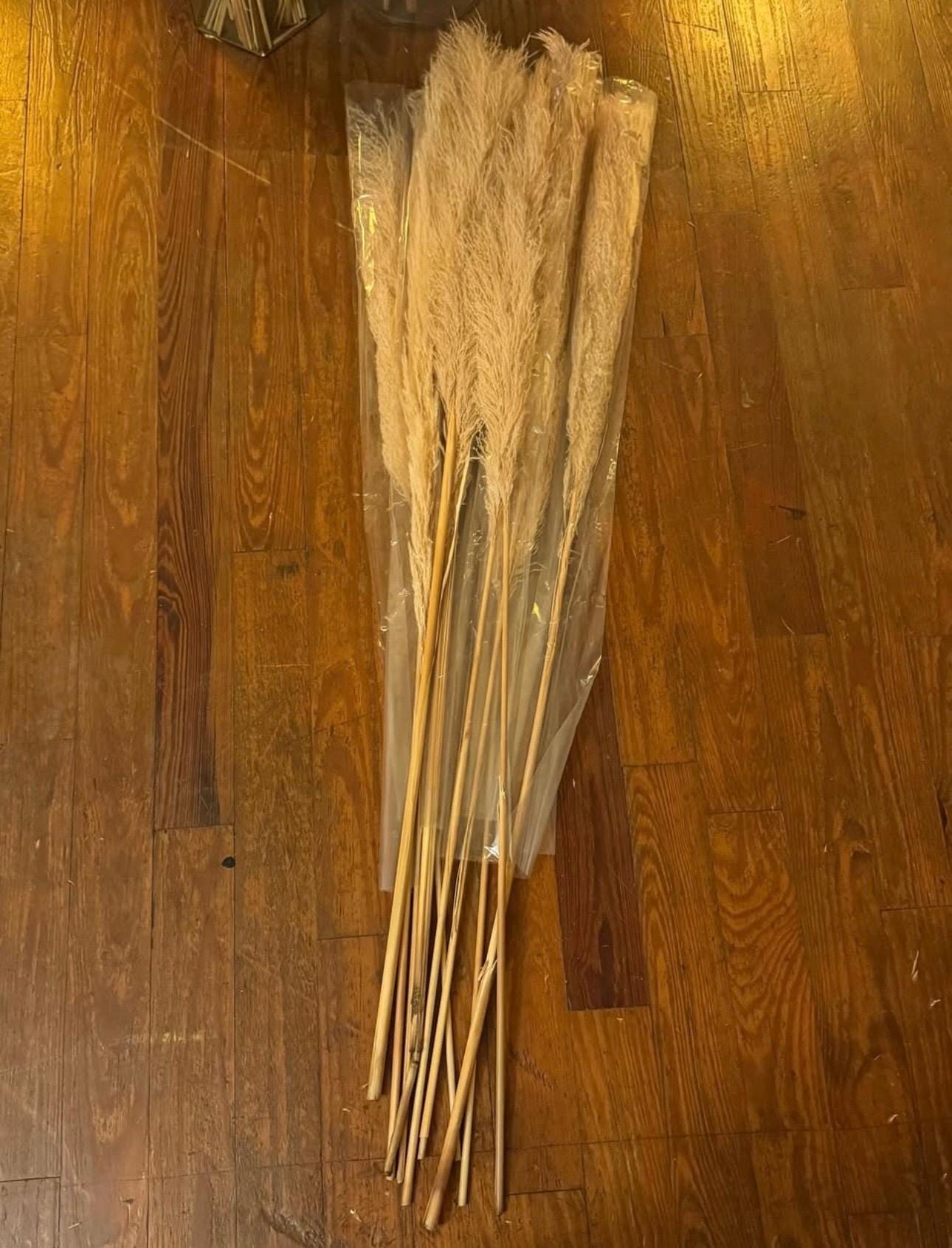 Pampas Natural Dried 4 Styles Sizes! - Etsy