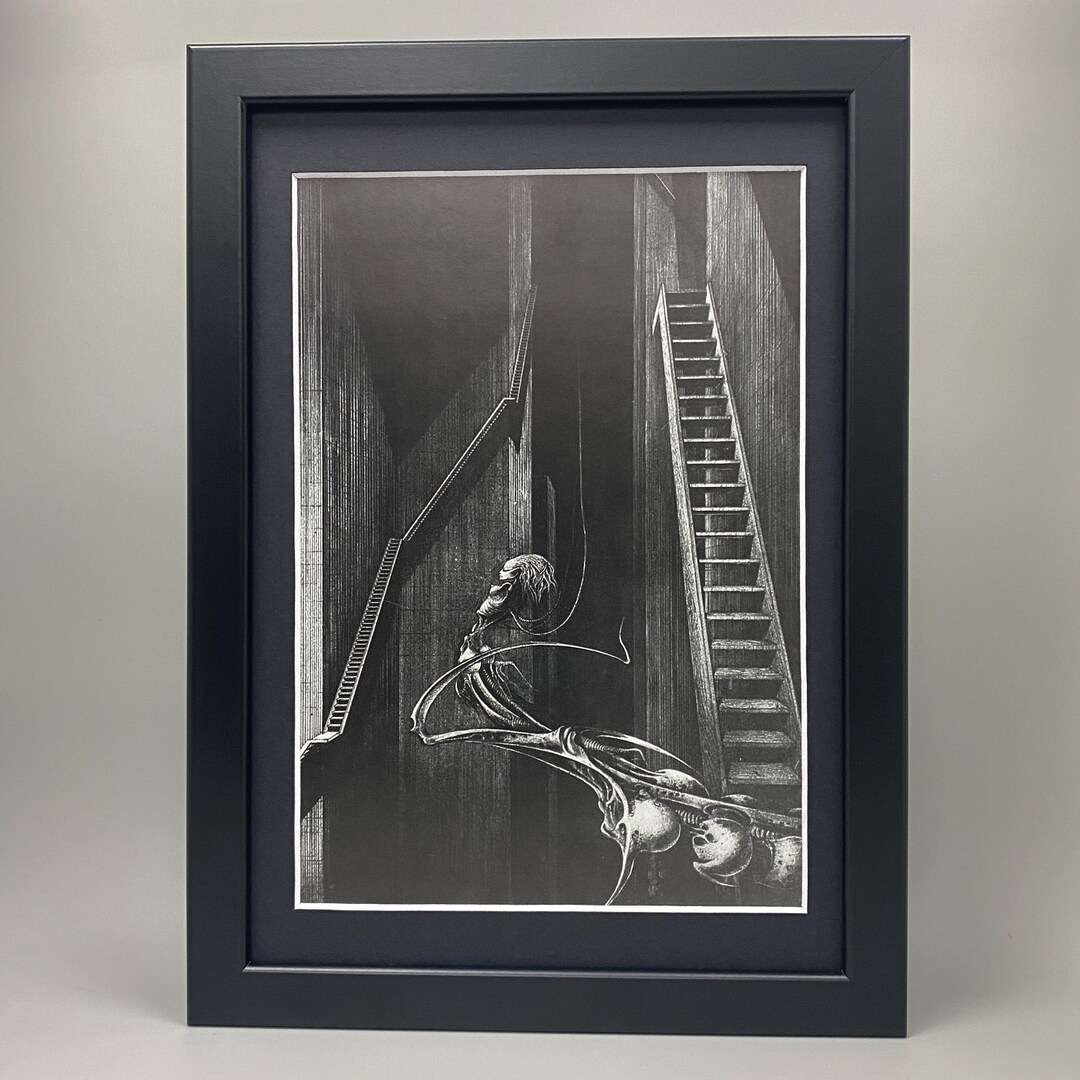 Shaft 7 by H.R. Giger Framed Art. Sci-fi, Fantasy, Biomech ...