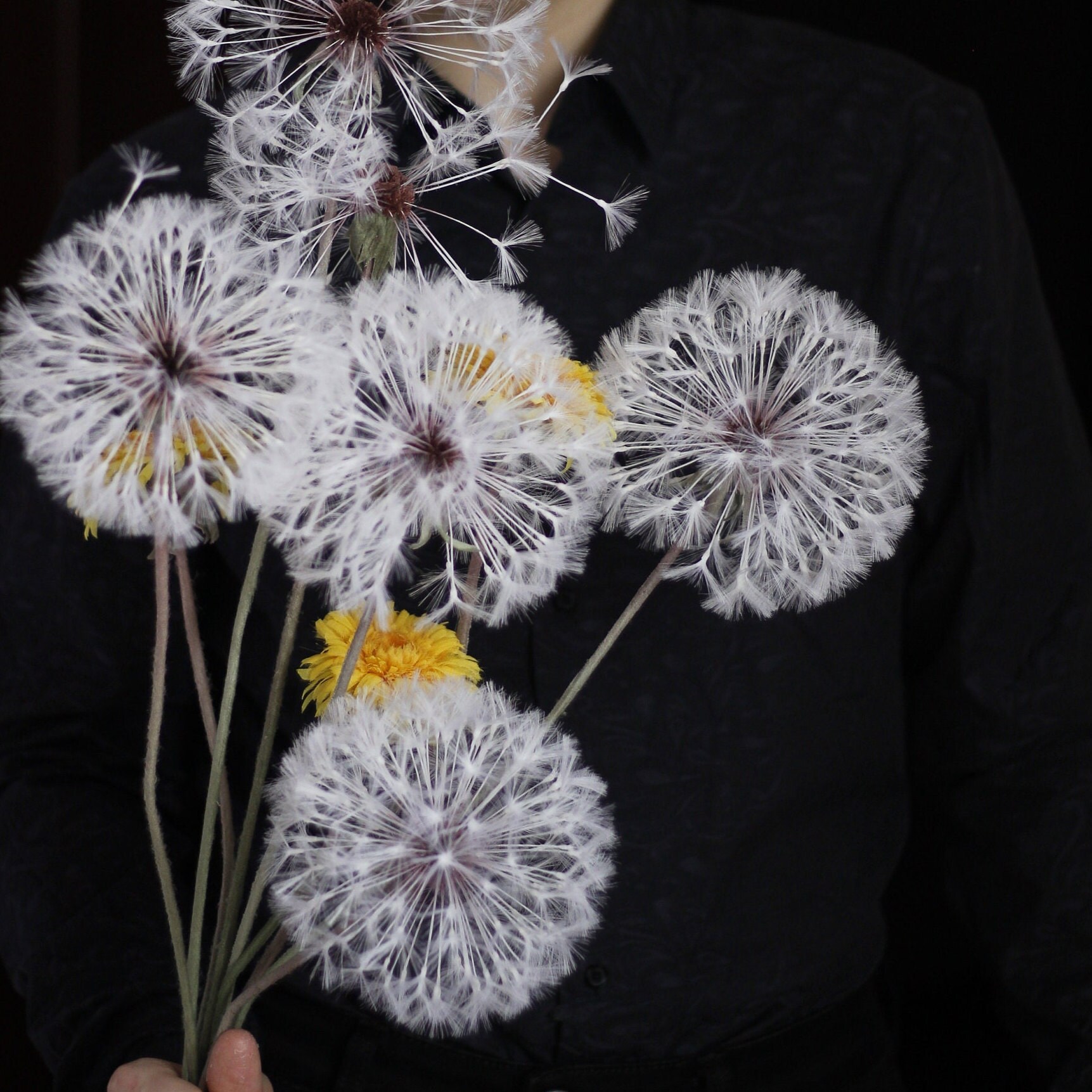 Artificial Dandelion Bouquet Dandelion Decor Giant Dandelion 50th ...