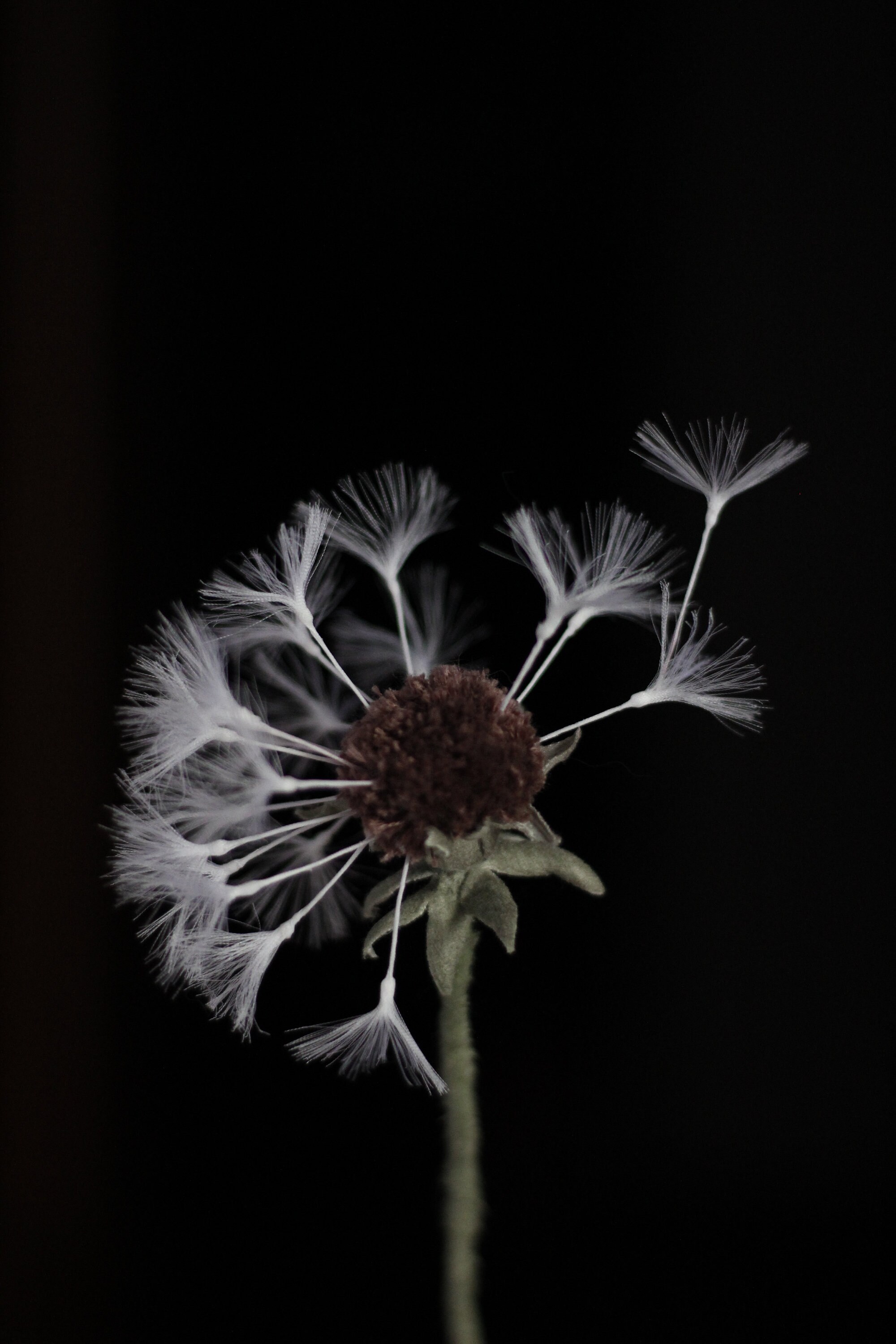 Artificial Dandelion Giant Dandelion Realistic Flower - Etsy