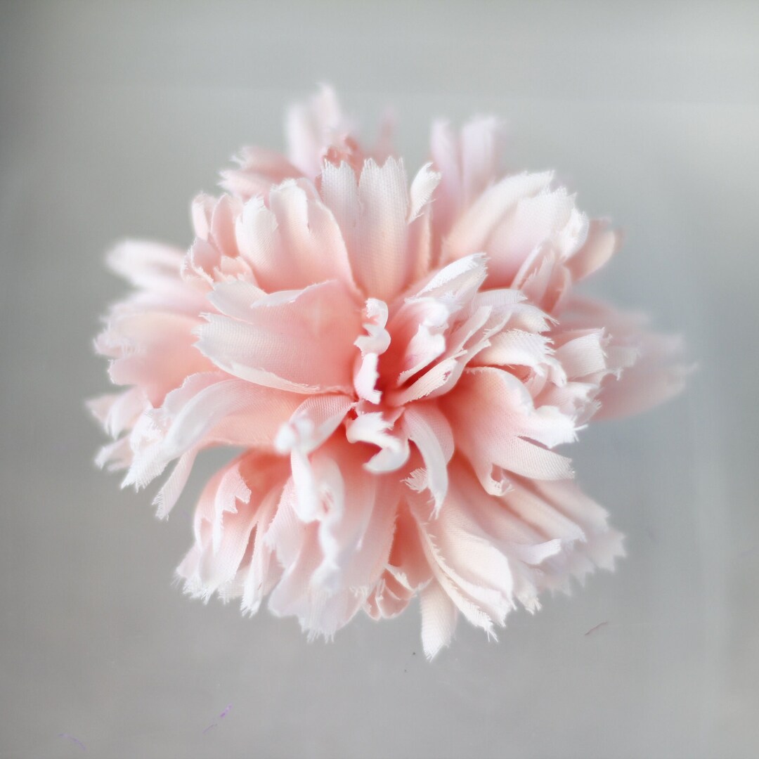Carnation Pin. Coral Boutonniere - Etsy