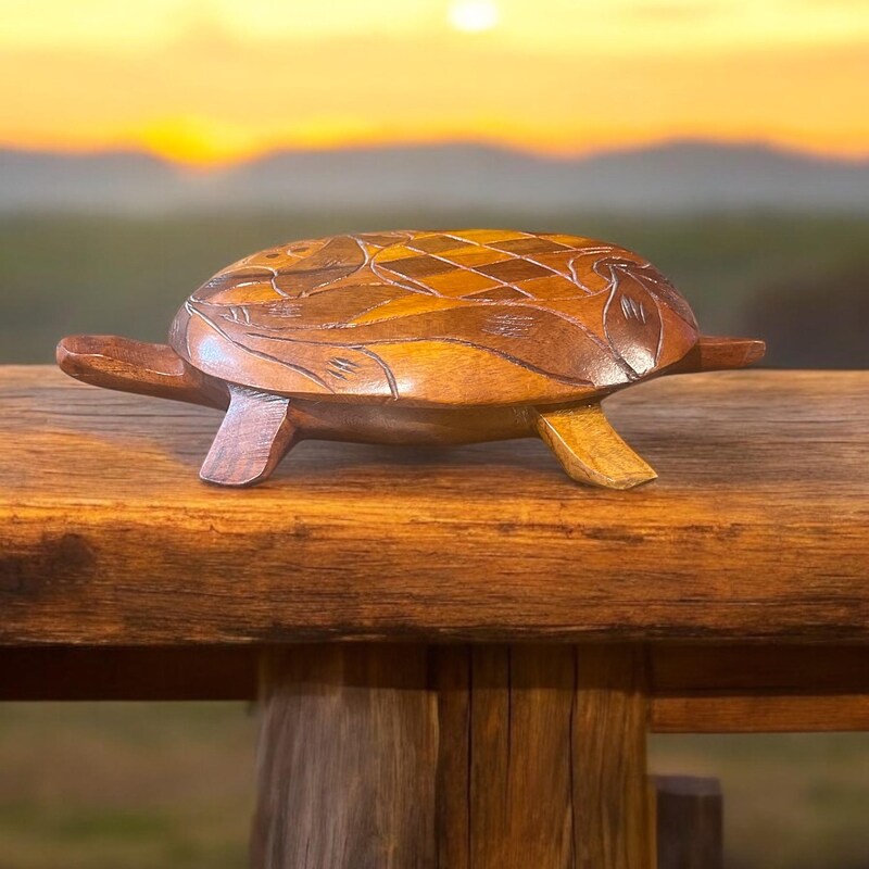 Turtle Trinket Box - Etsy