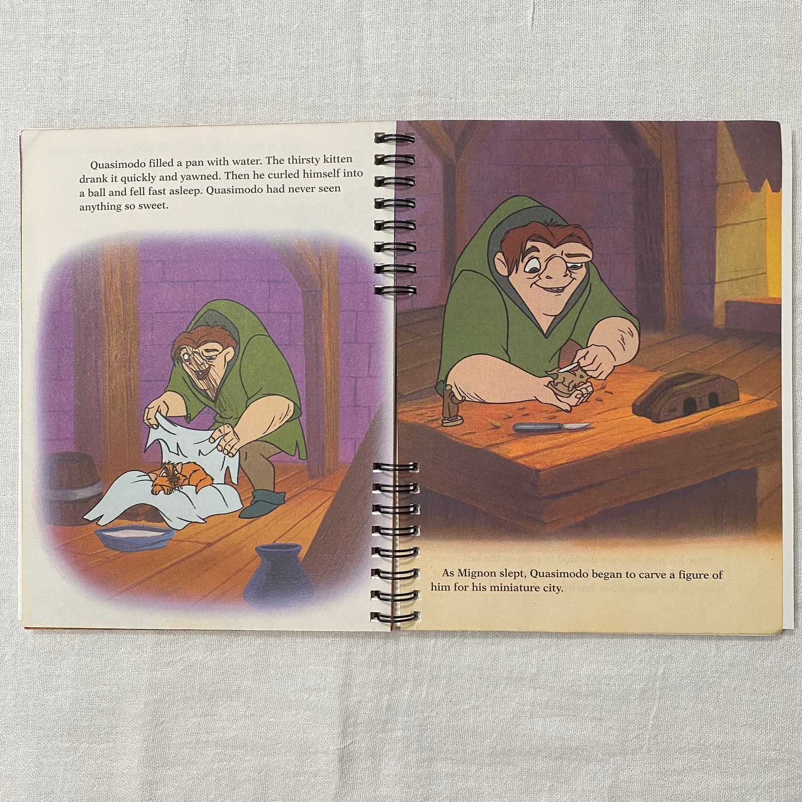The Hunchback of Notre Dame: Quasimodo’s New Friend | the Little Golden ...