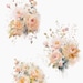 Watercolor Floral Clipart - Blush and Peach Flowers - Wild Floral ...