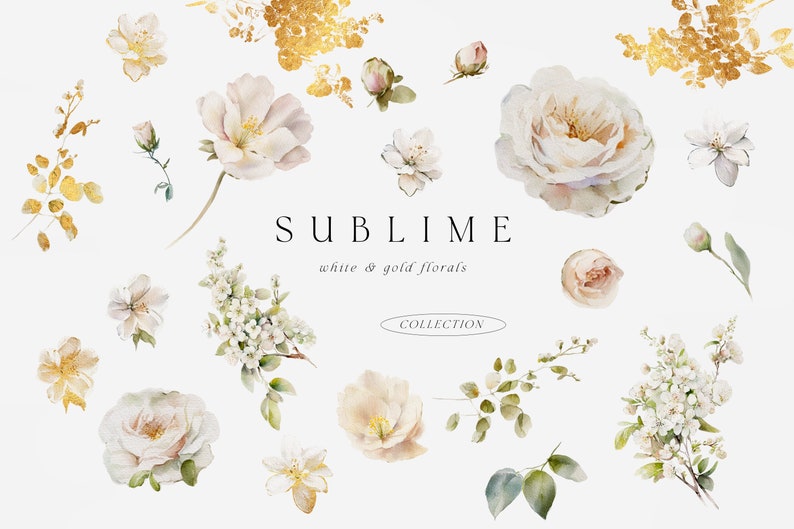 White and Gold Floral Clipart - Floral Watercolor Clipart - Watercolor ...