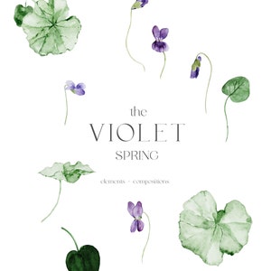 Violet Floral Clipart - Spring Clipart - Spring Flowers - Spring ...