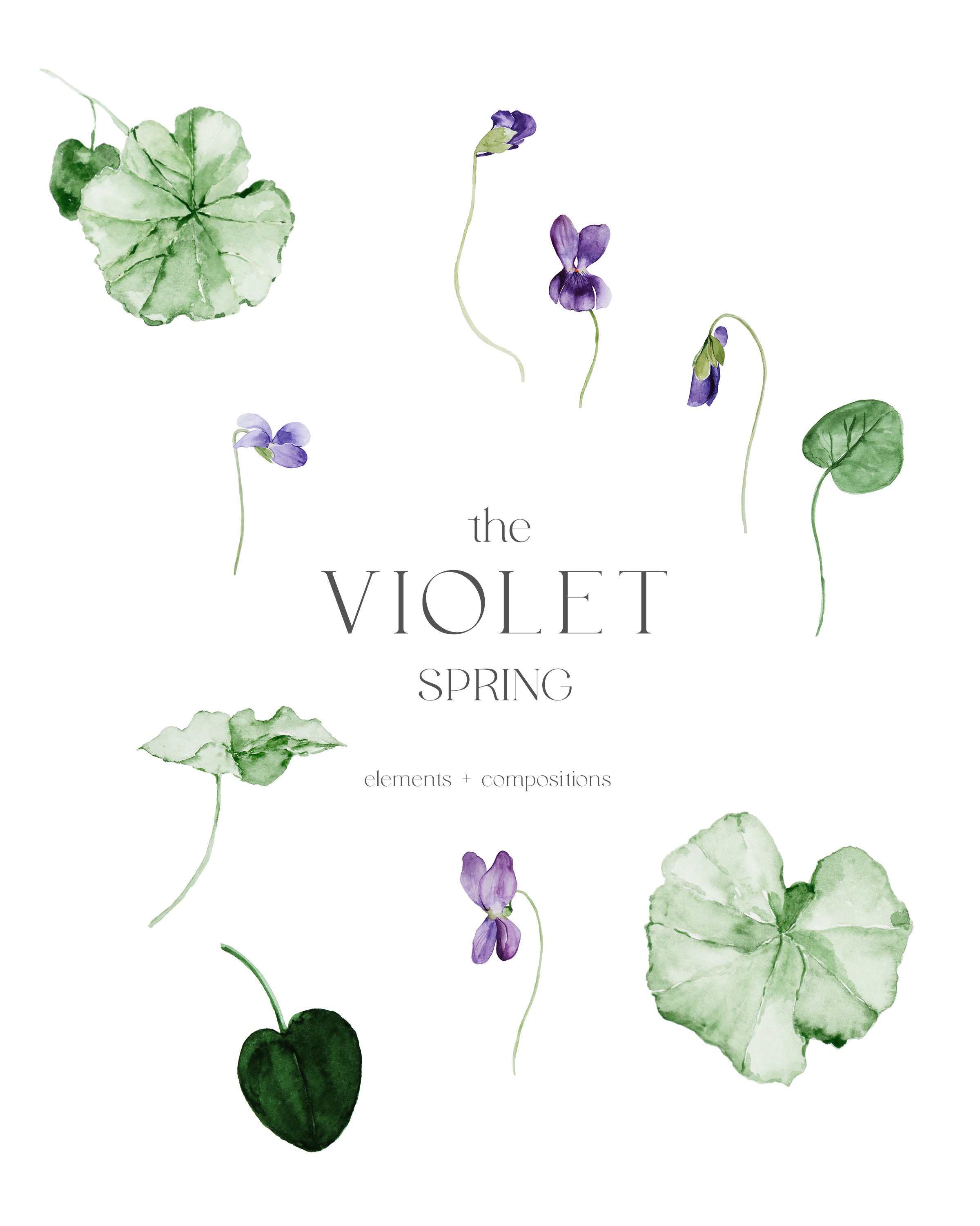 Violet Floral Clipart Spring Clipart Spring Flowers - Etsy