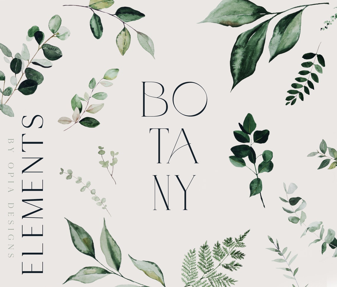 Watercolor Floral Elements Floral Clipart Floral Elements - Etsy