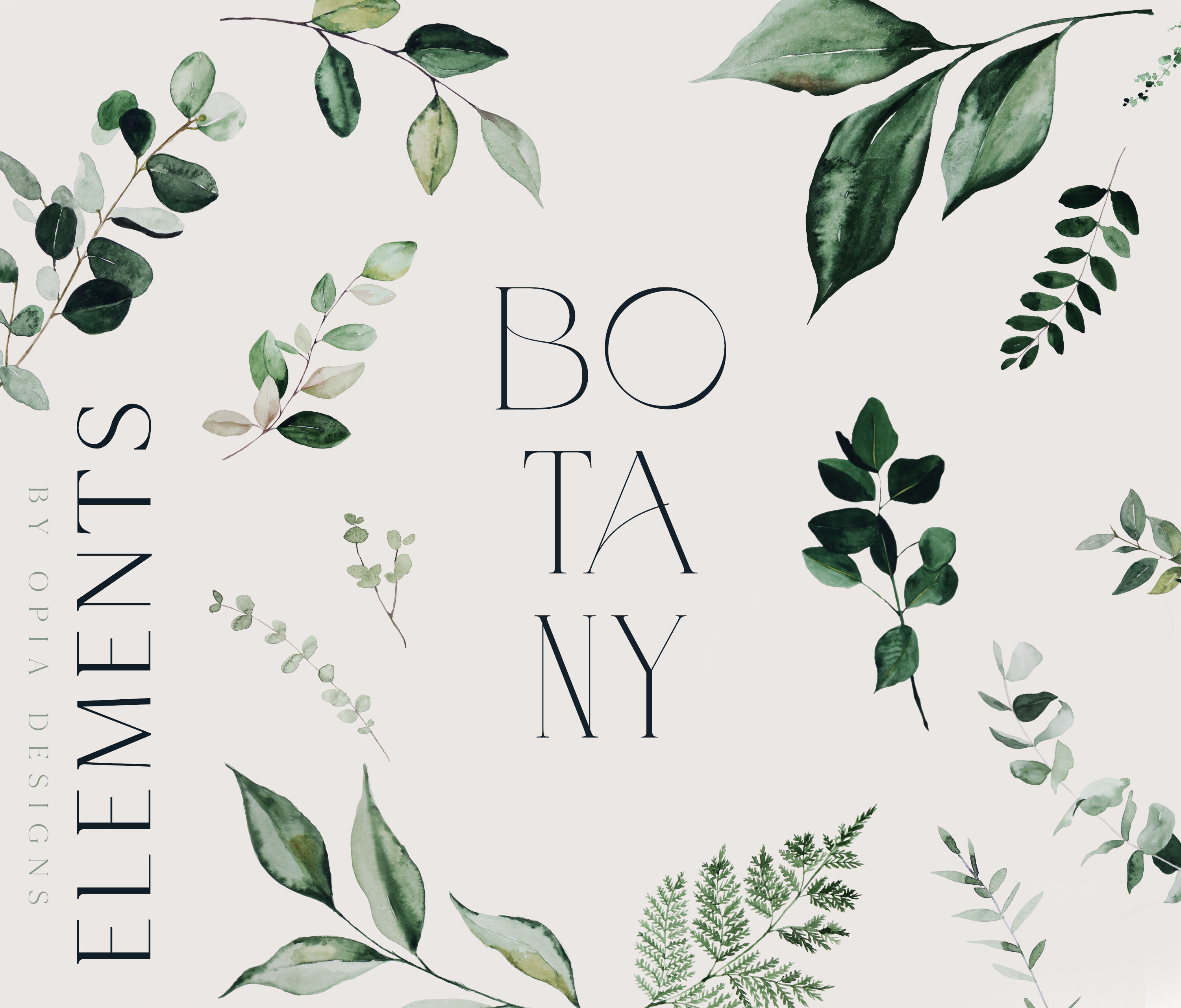 Watercolor Floral Elements, Floral Clipart, Floral Elements, Botanical ...