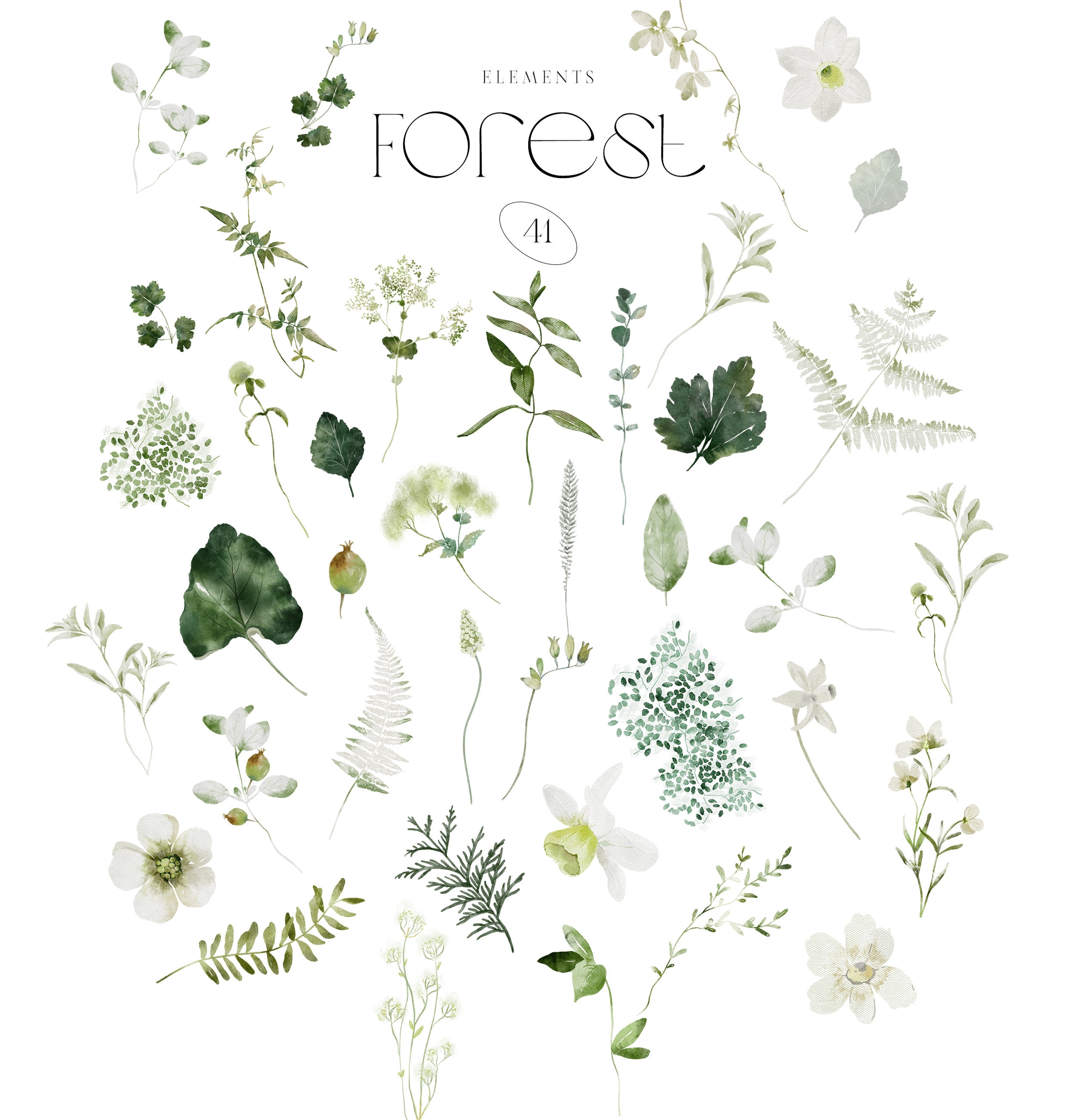 Watercolor Greenery Clipart Greenery Foliage Greenery - Etsy