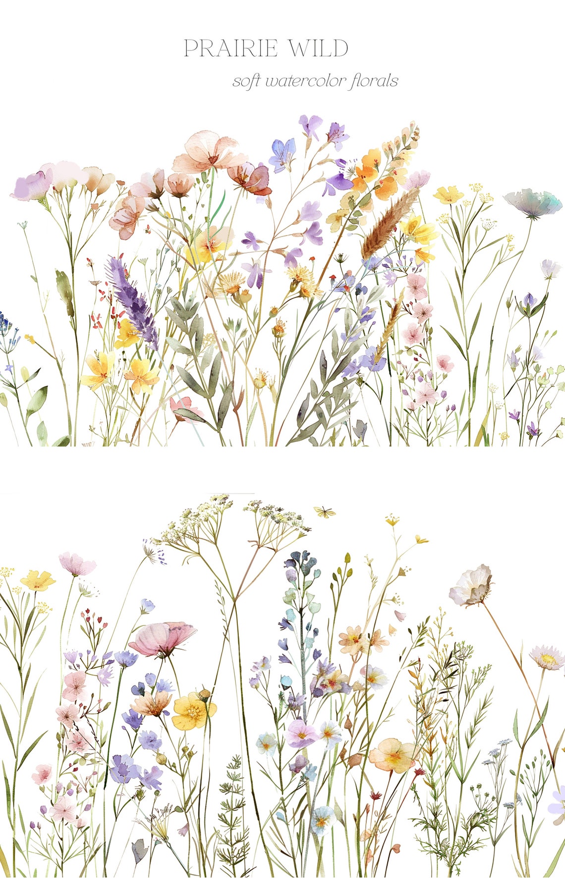 Watercolor Wild Prairie Flowers - Wild Floral Fields - Meadow Flowers ...