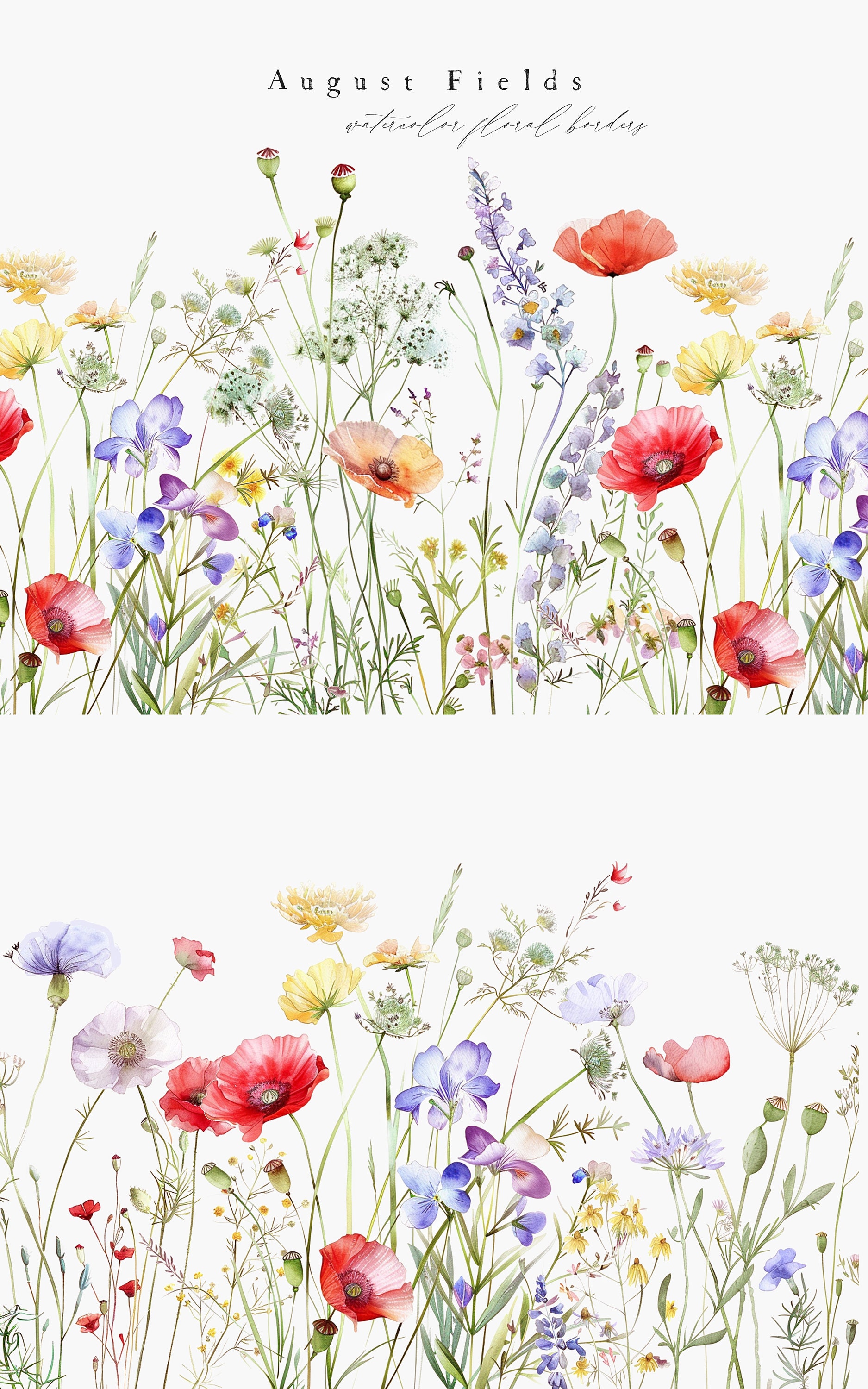Watercolor Summer Field Flowers - Watercolor Poppy Fields - Premade ...