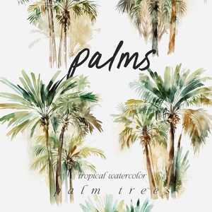 Tropical Watercolor Palm Trees - Tropical Clipart - Palm Trees - Palm ...