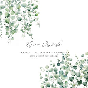 Watercolor Eucalyptus Clipart - Greenery Clipart - Watercolor Clipart ...