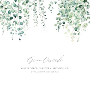 Watercolor Eucalyptus Clipart - Greenery Clipart - Watercolor Clipart ...