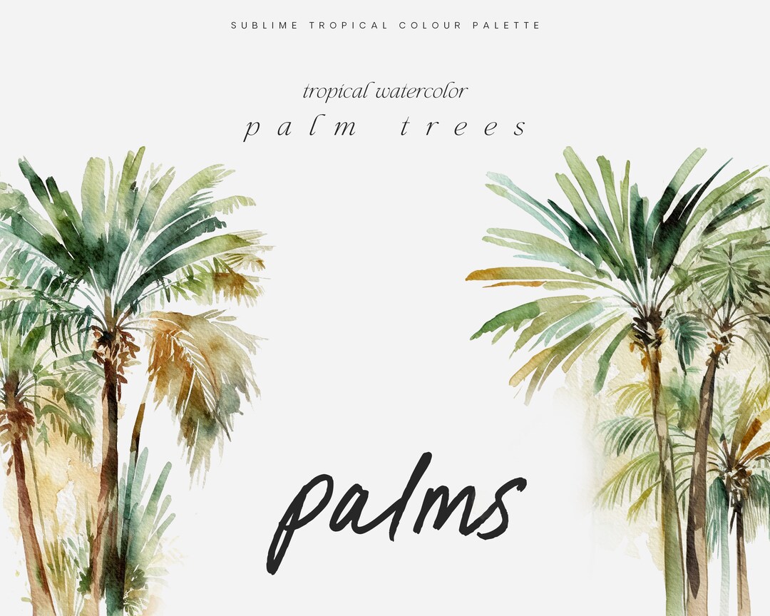 Tropical Watercolor Palm Trees - Tropical Clipart - Palm Trees - Palm ...
