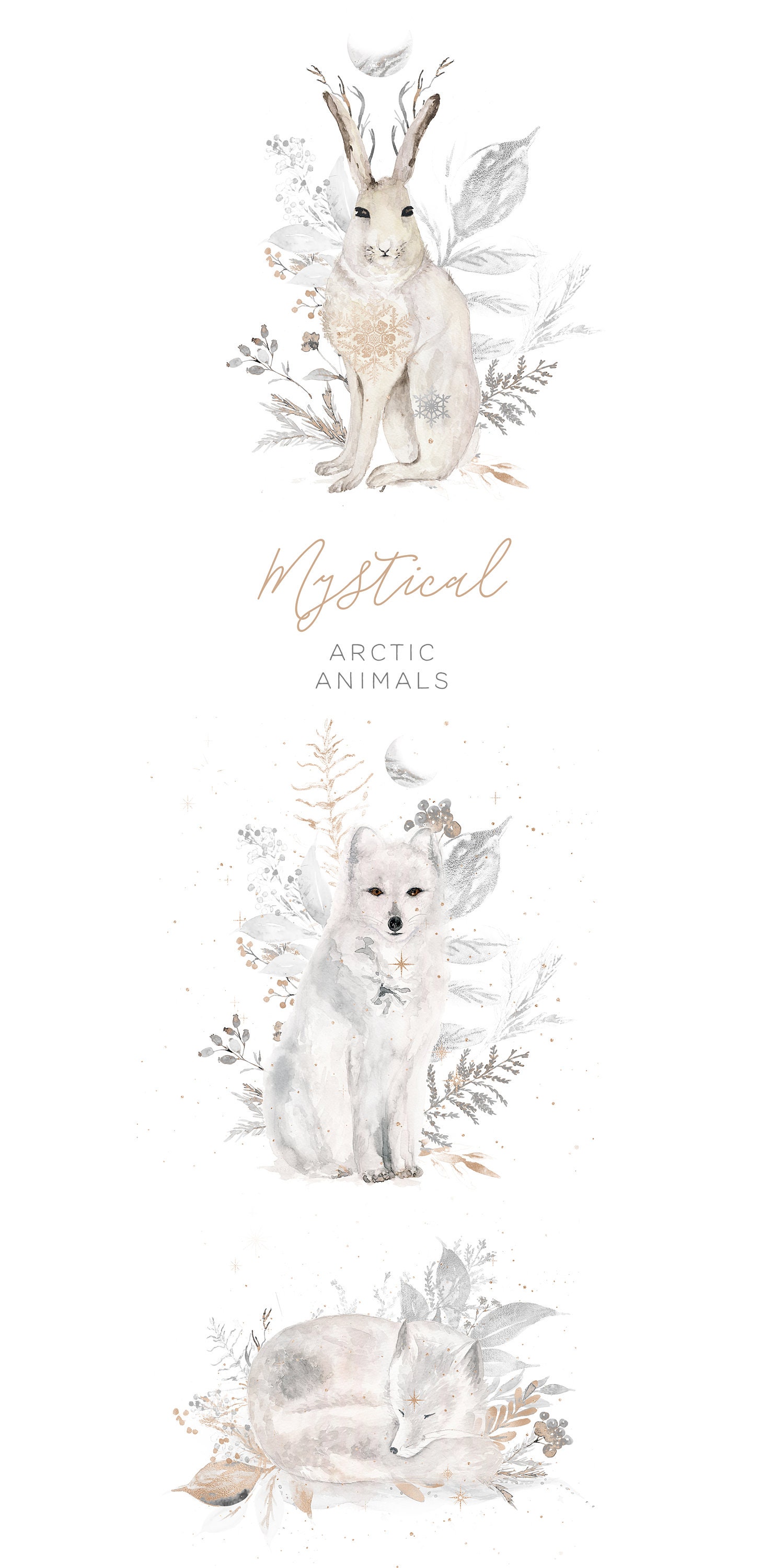 Watercolor Winter Arctic Animals Snow Owl Arctic Fox | Etsy Canada