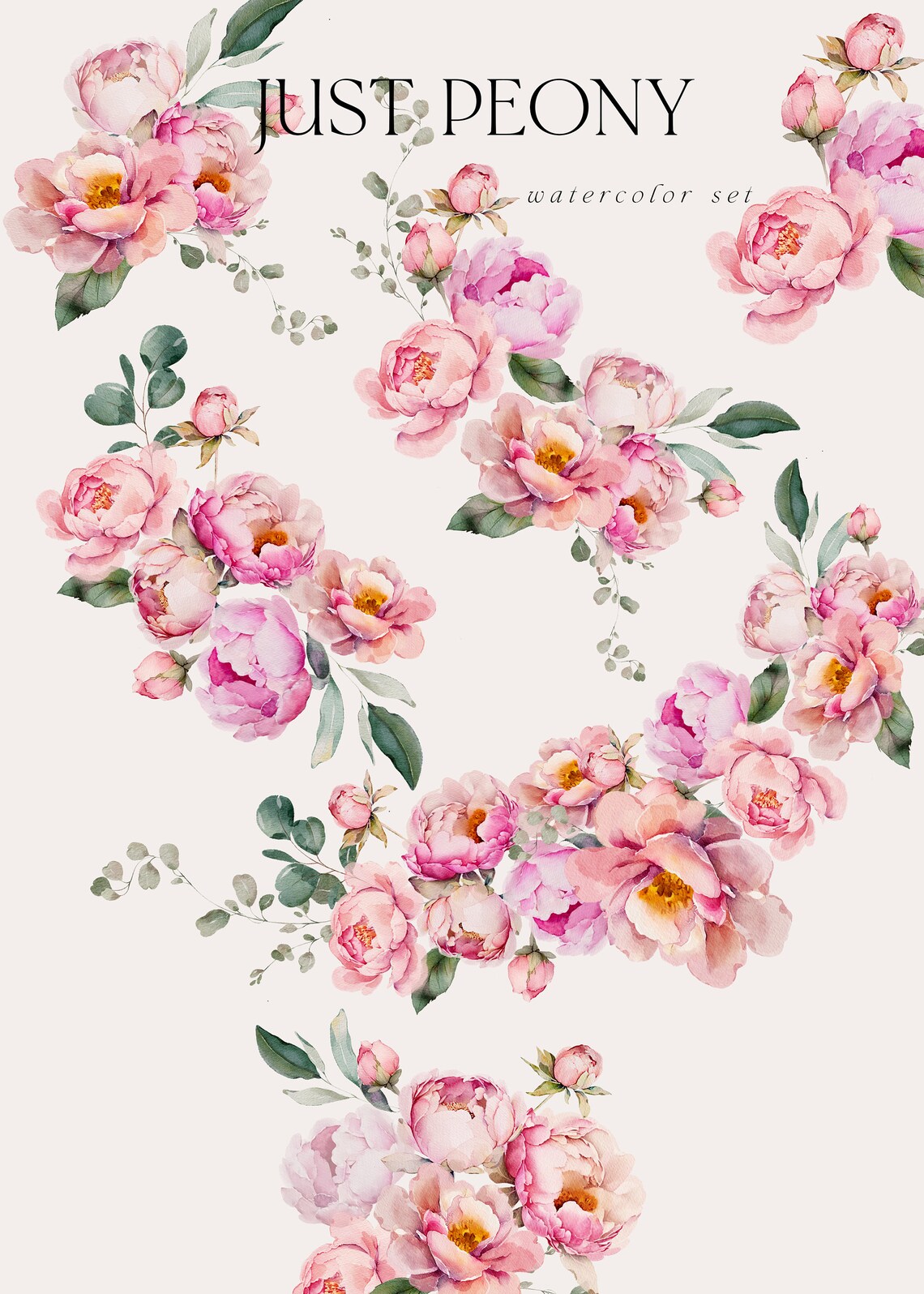 Peony Watercolor Clipart - Peony Floral Clipart - Peony Clipart ...