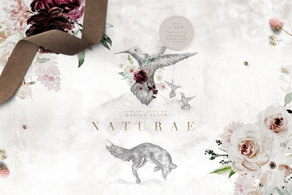 Watercolor Woodland Graphic Set Woodland Clipart Humming - Etsy Canada