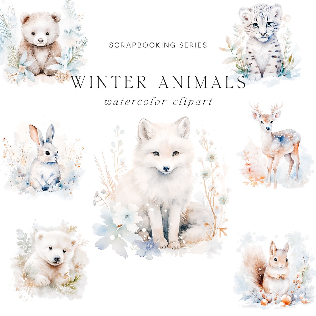 Winter Animals Clipart - Watercolor Winter Clipart - Winter Clipart ...