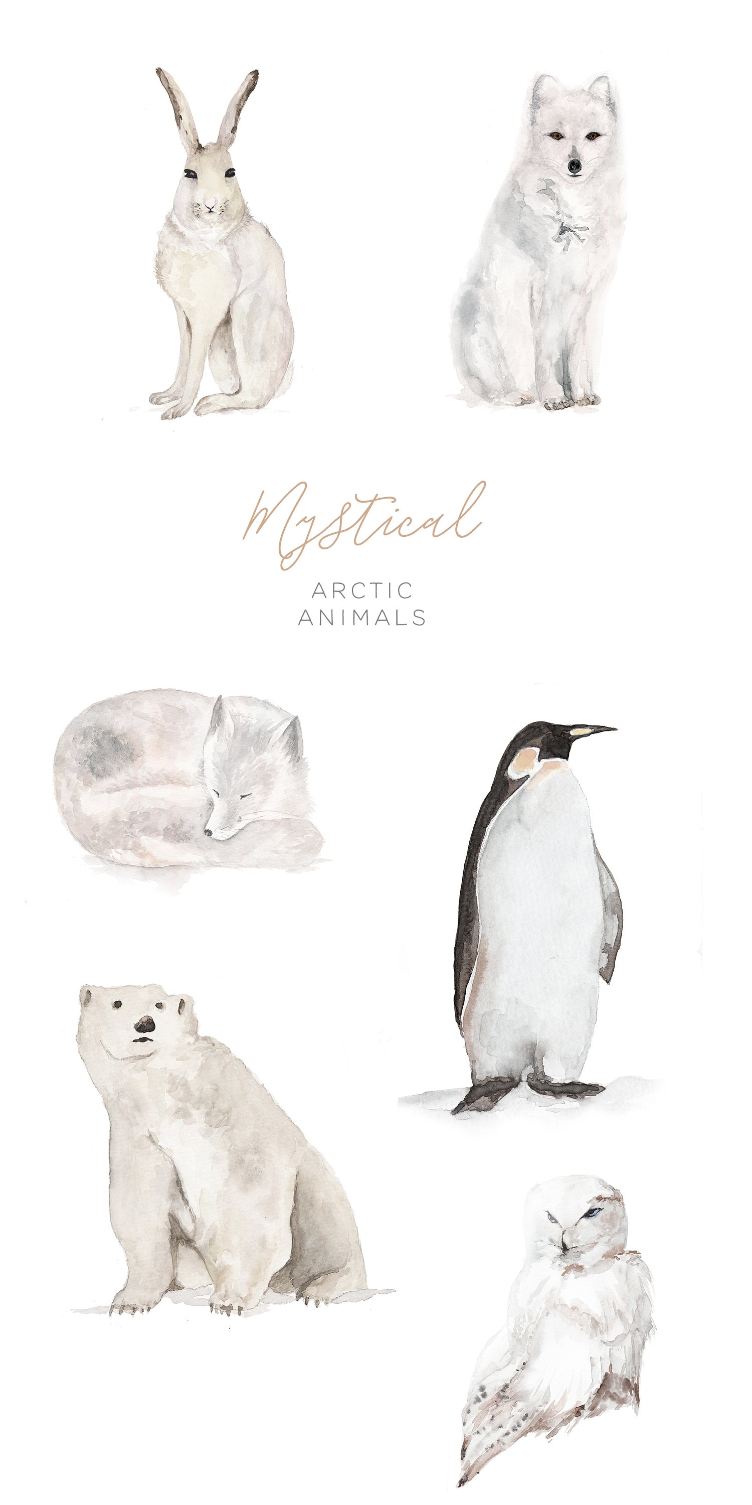 Watercolor Winter Arctic Animals Snow Owl Arctic Fox | Etsy Canada