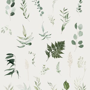 Watercolor Greenery Clipart - Eucalyptus Clipart - Watercolor ...