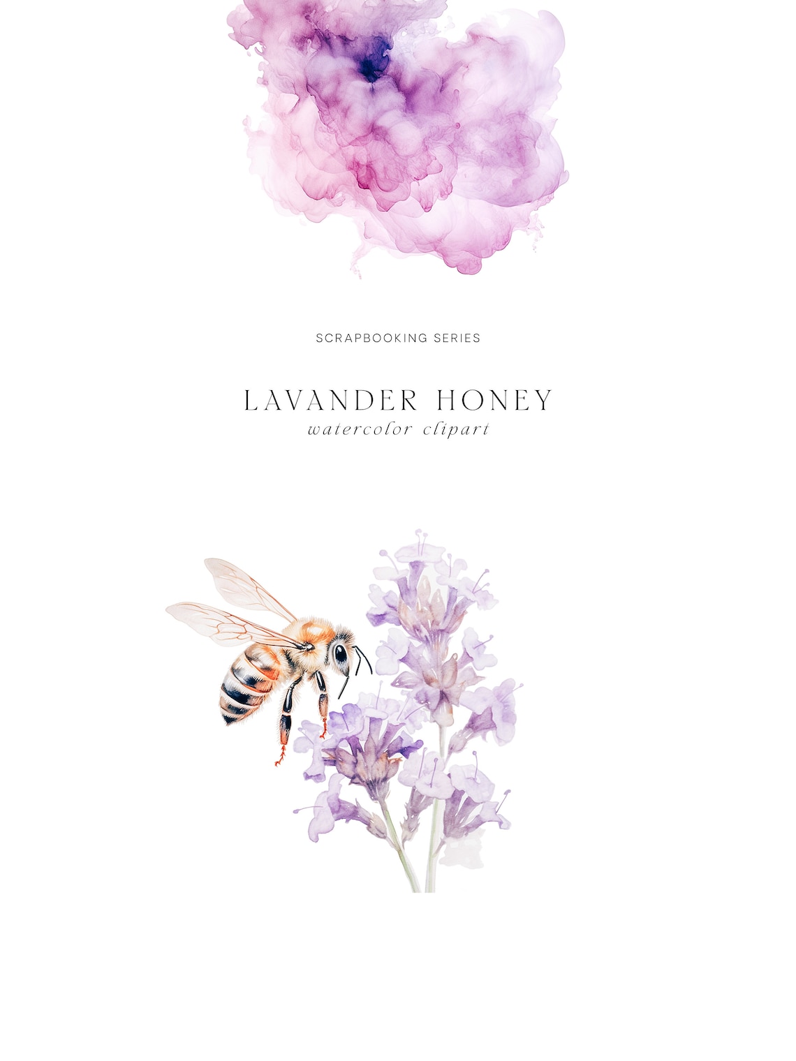 Lavender Watercolor Clipart - Honey Bees Clipart - Lavender Clipart ...