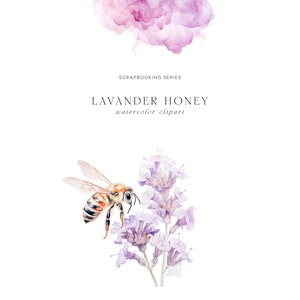 Lavender Watercolor Clipart - Honey Bees Clipart - Lavender Clipart ...