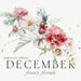 Winter Floral Watercolor - Christmas Collection - Christmas Clipart ...