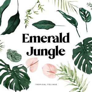 Tropical Jungle Watercolor Clipart - Tropical Leaves - Tropical ...