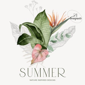 Watercolor Summer Clipart - Tropical Clipart - Tropical Summer ...