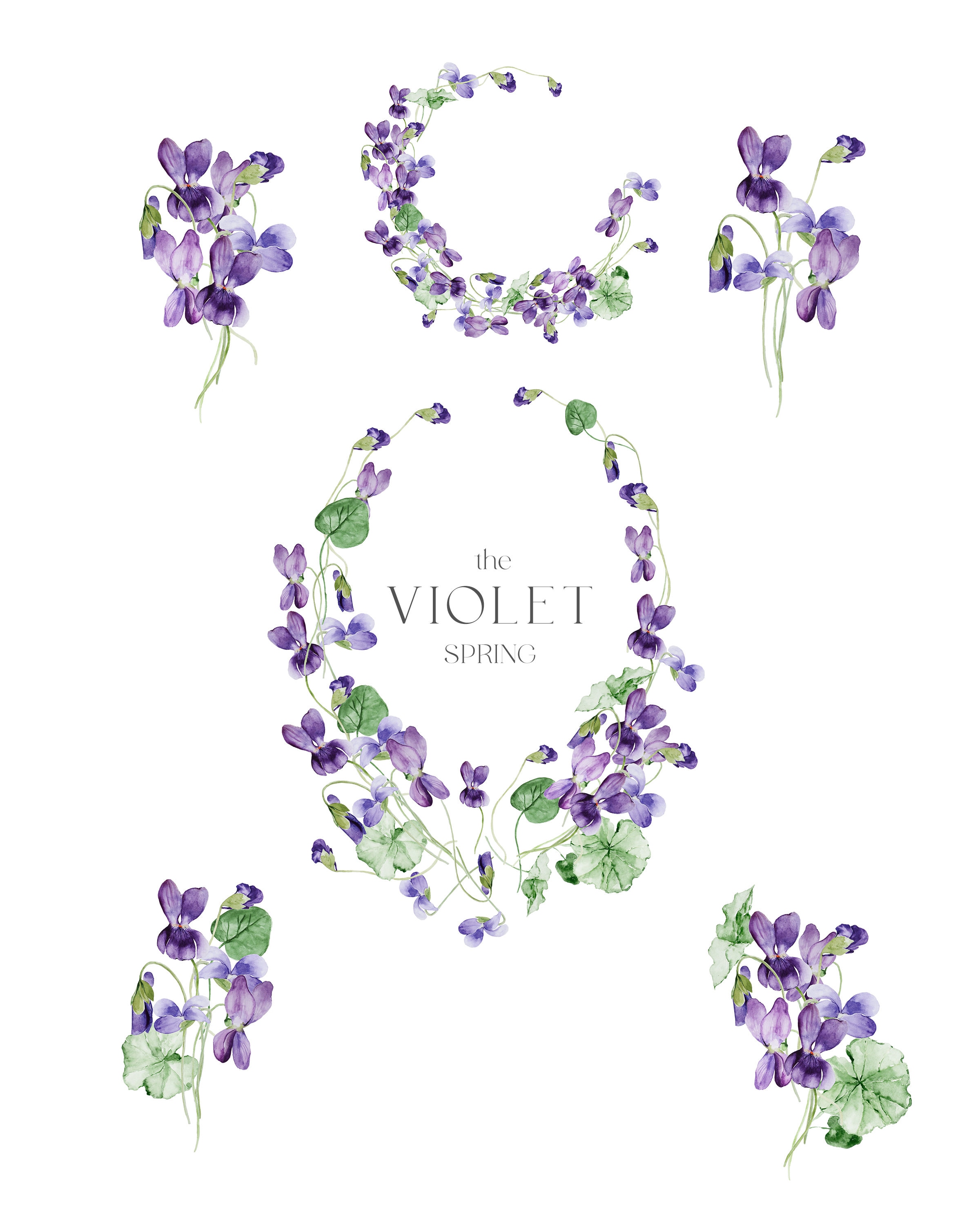 Violet Floral Clipart Spring Clipart Spring Flowers - Etsy Canada