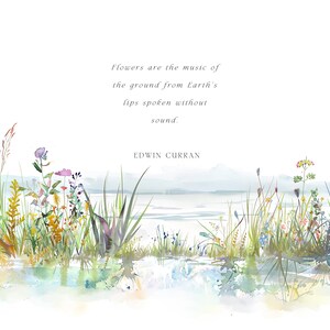 Watercolor Lake and Wild Flowers Borders - Wild Floral Borders ...