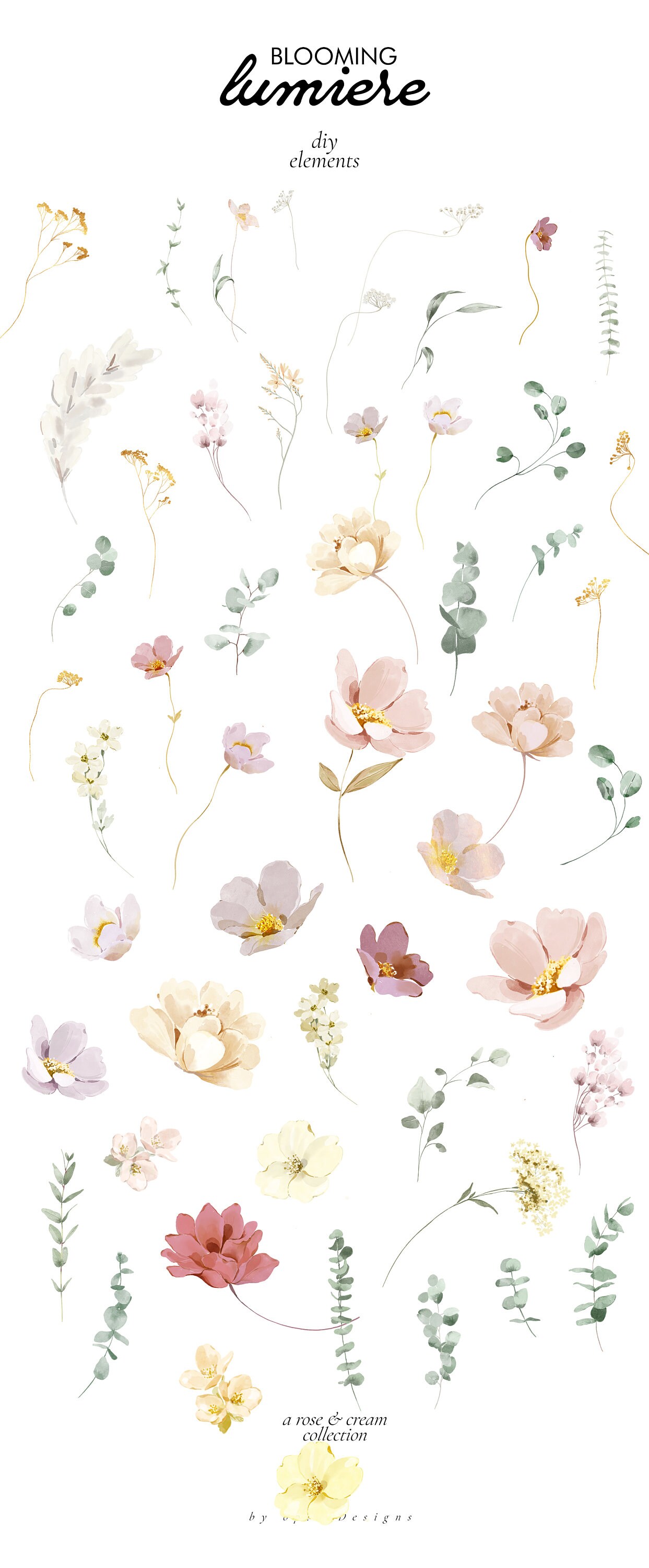 Watercolor Floral Clipart Wild Flowers Dusty Rose - Etsy