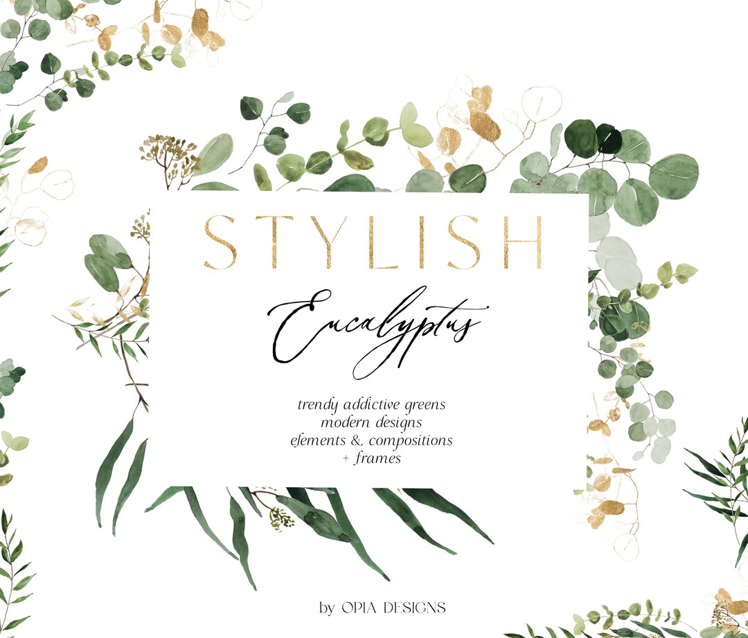 Eucalyptus Watercolor Clipart - Watercolor Eucalyptus - Greenery ...