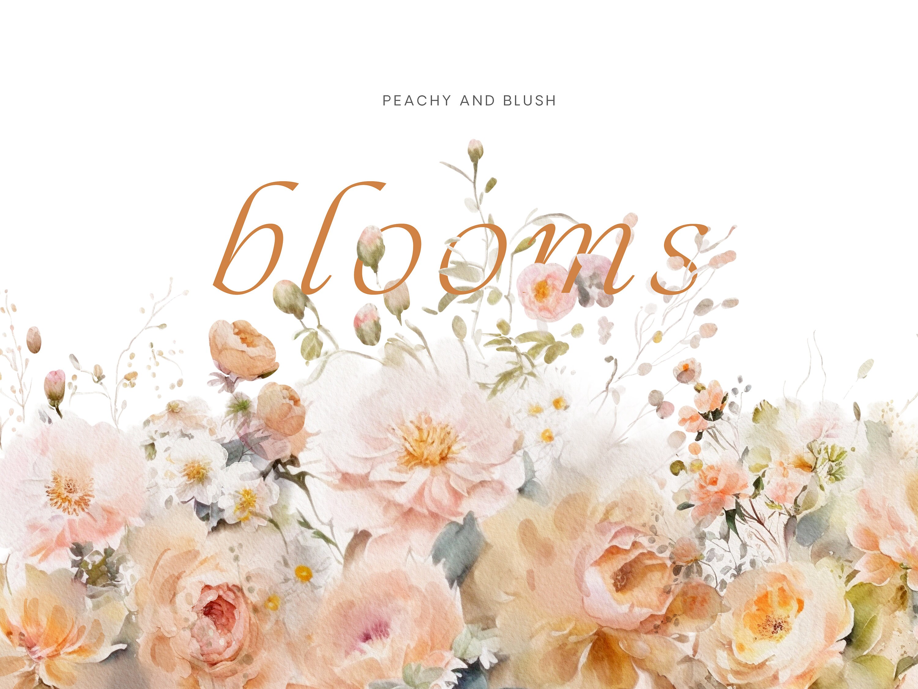 Watercolor Floral Clipart - Blush and Peach Flowers - Wild Floral ...