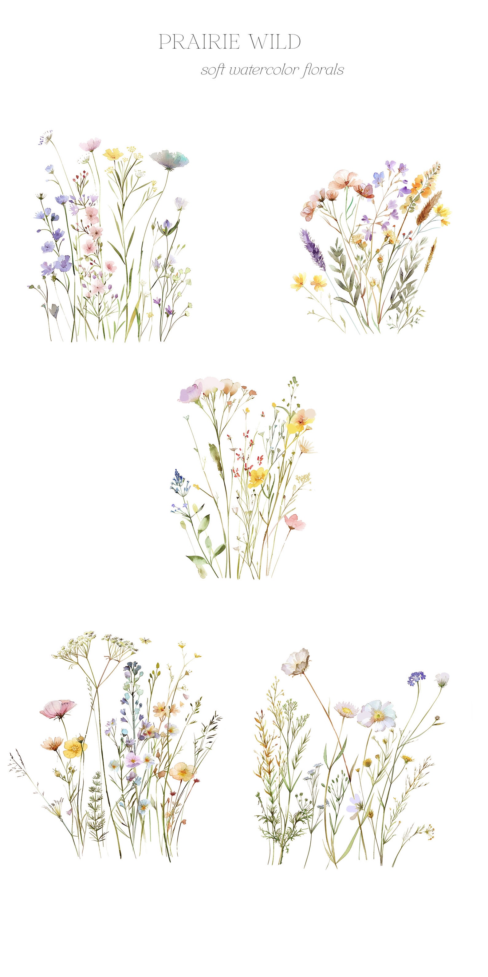 Watercolor Wild Prairie Flowers - Wild Floral Fields - Meadow Flowers ...