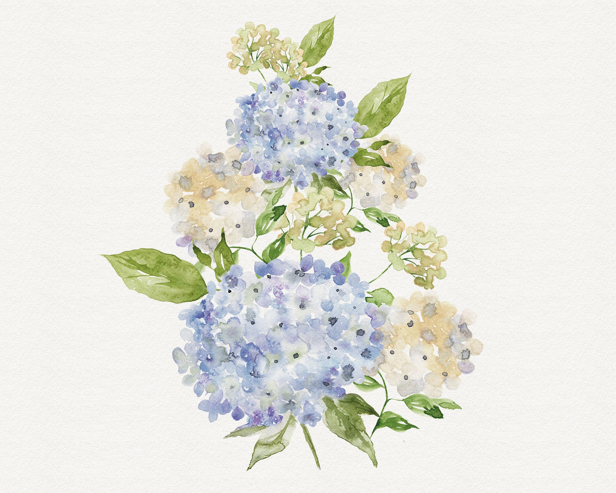 Hydrangea Watercolor Clipart Hydrangea Bouquet Stationary | Etsy UK