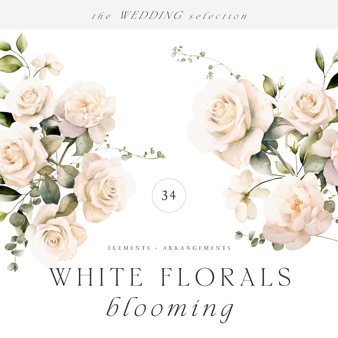 Watercolor White Floral Clipart - Floral Clipart - Watercolor Clipart ...