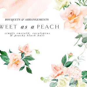 Watercolor Peach Blush Floral Clipart - Bouquets & Arrangements ...