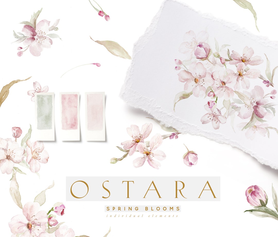 Cherry Blossom Watercolor - Spring Clipart - Spring Watercolor - Cherry ...