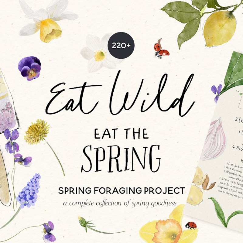 Spring Clip Art - Etsy