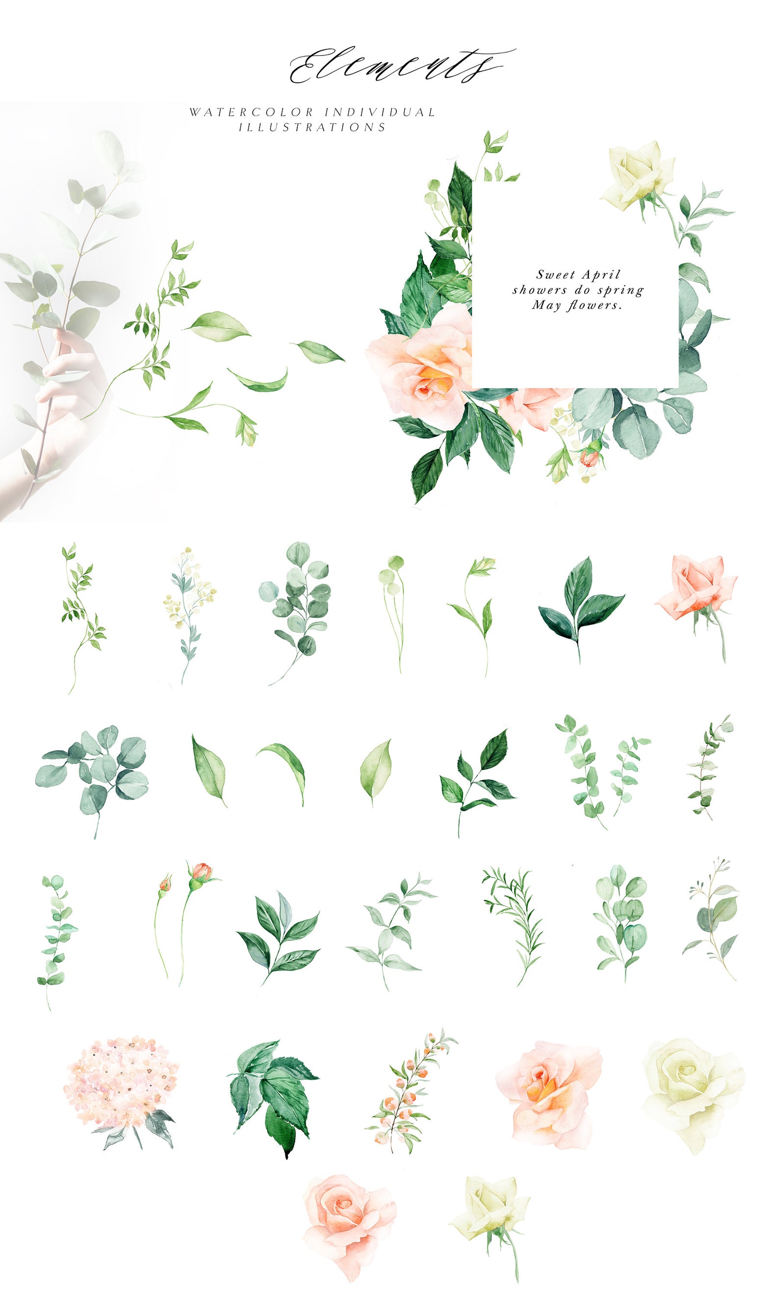 Peach and Greenery Watercolor Floral Clipart Peaches and - Etsy