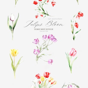 Watercolor Tulips Clipart - Tulips Clipart - Spring Clipart - Spring ...