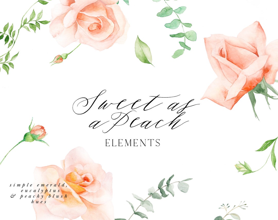 Watercolor Blush and Peach Floral Clipart - Greenery Clipart ...