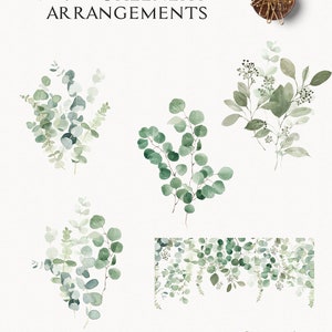 Watercolor Greenery Eucalyptus Clipart - Eucalyptus Bouquet - Greenery ...